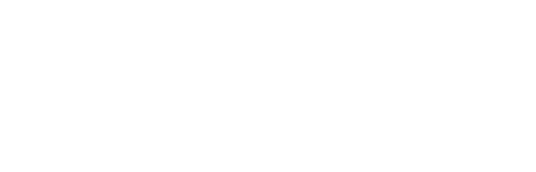 ConDim / Software zur Betonbemessung
